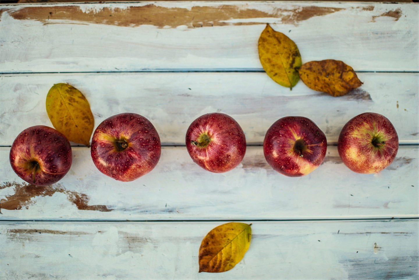 100 Things To Do This Autumn / Fall | Huge Activities List